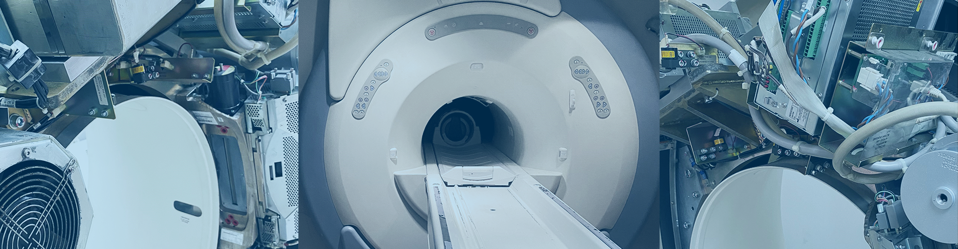 Home [www.trustmedllc.com]